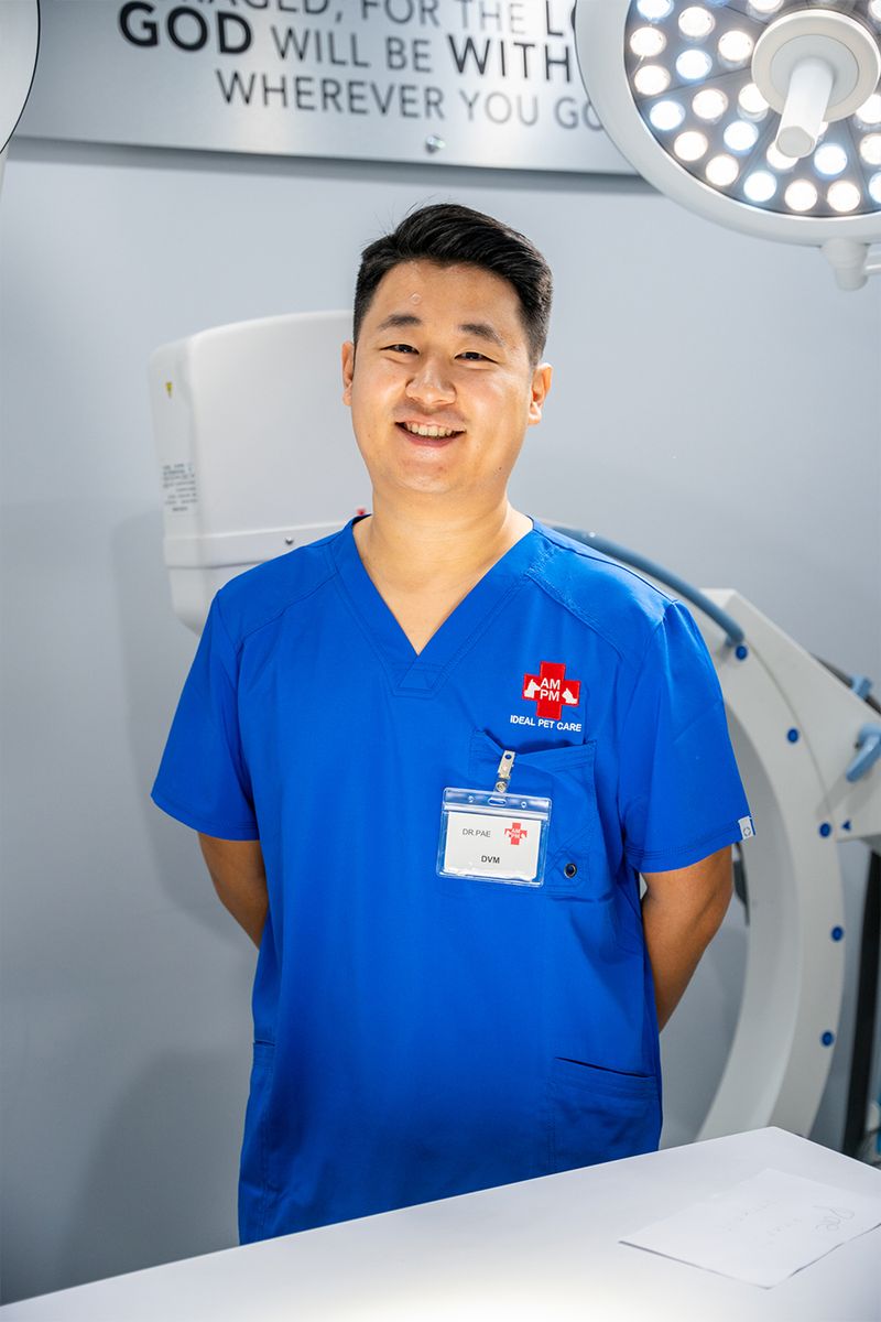 Meet Our Doctor | Dr. Scott Lee